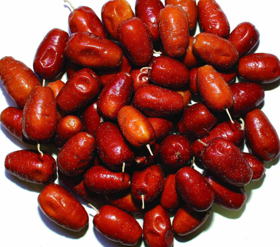 Senjed - Für Norooz Haft Sin